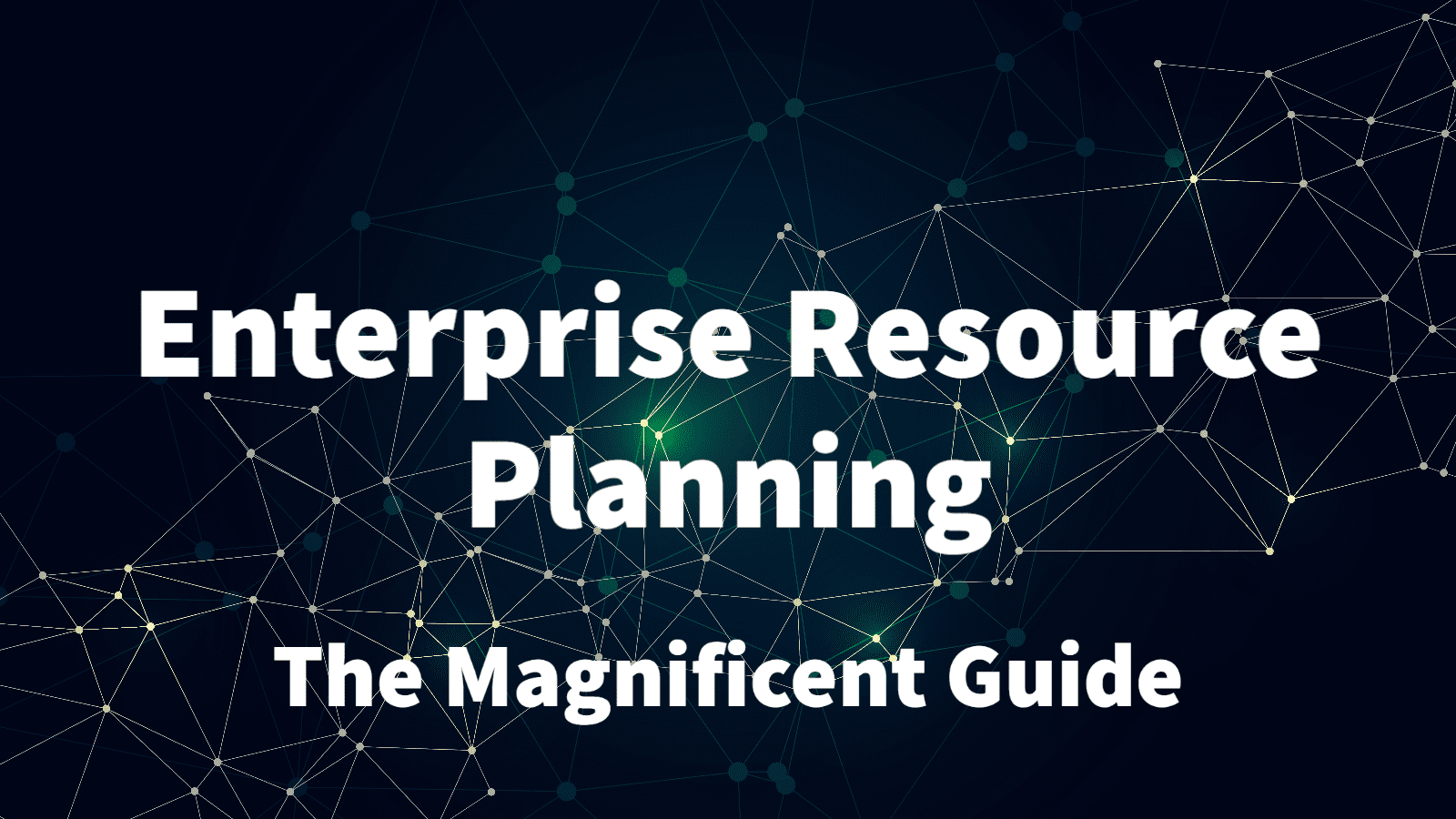 Enterprise Resource Planning: The Magnificent Guide