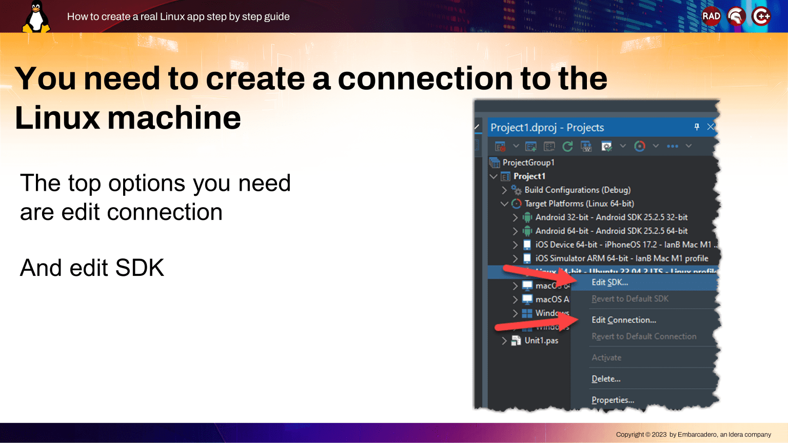 How To Create A Real Linux App Step By Step Guide – Embarcadero RAD ...